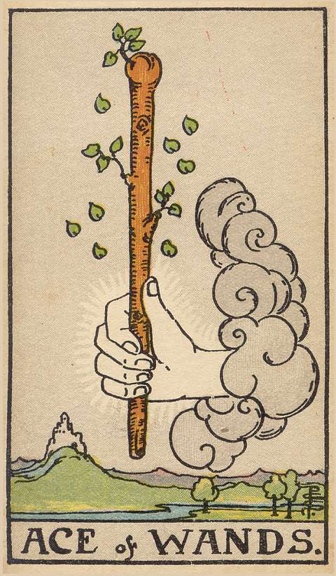 Ace of Wands Tarot Card Meaning | Interpretations & Advice for Ace of Wands