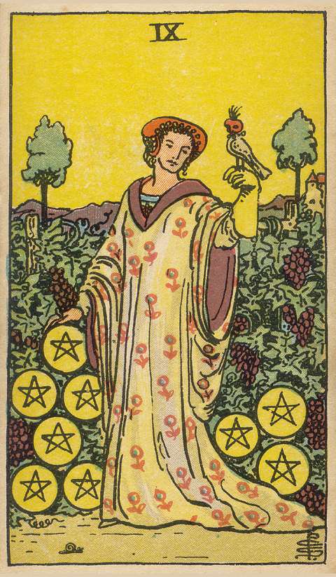 Nine of Pentacles Tarot Card Meaning | Interpretations & Advice for ...